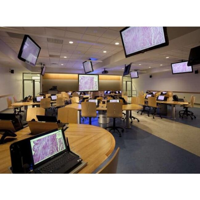 How To Create a Successful Collaborative Desk Layout | Smartdesks